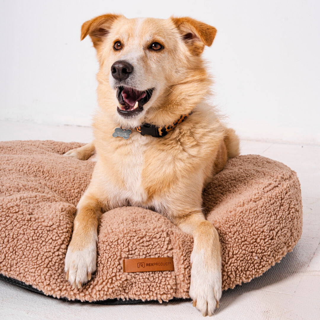 "Coco Teddy" round cushion beige – Rexproduct